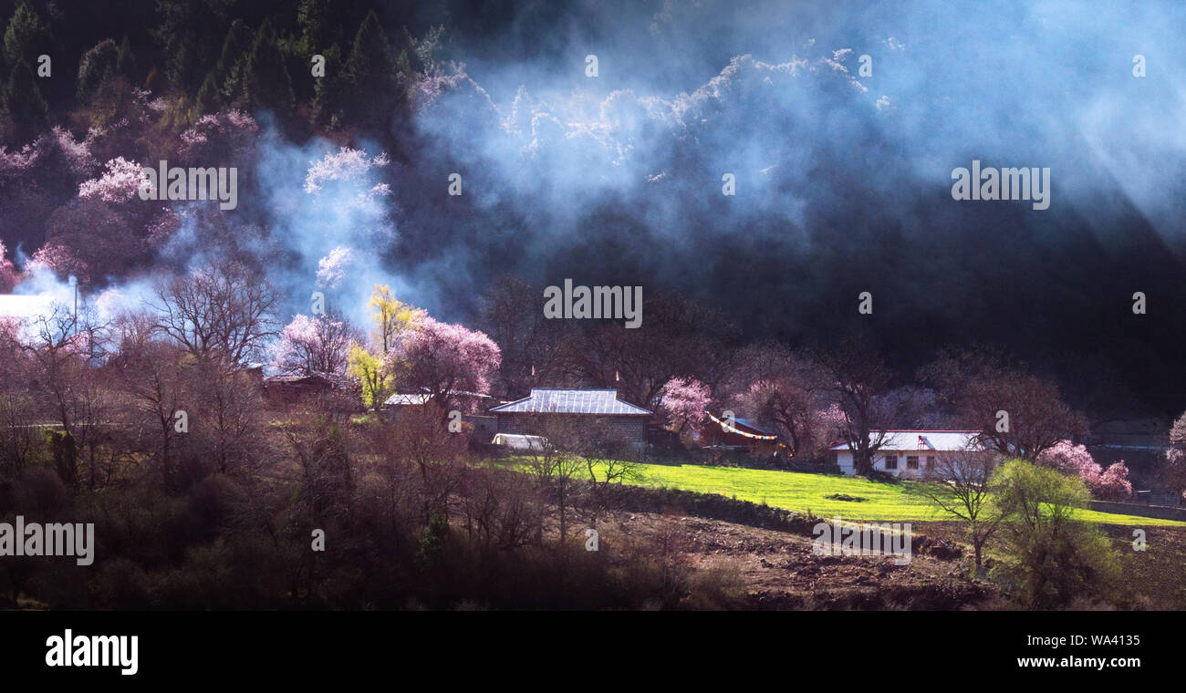 Peach blossom valley hi-res stock photography and images - Alamy