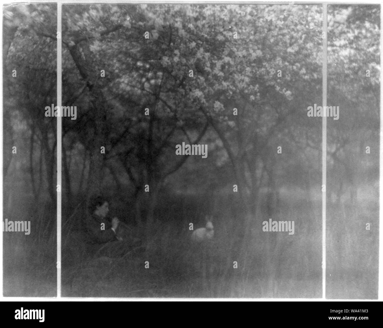 Rabbit and boy Black and White Stock Photos & Images - Alamy