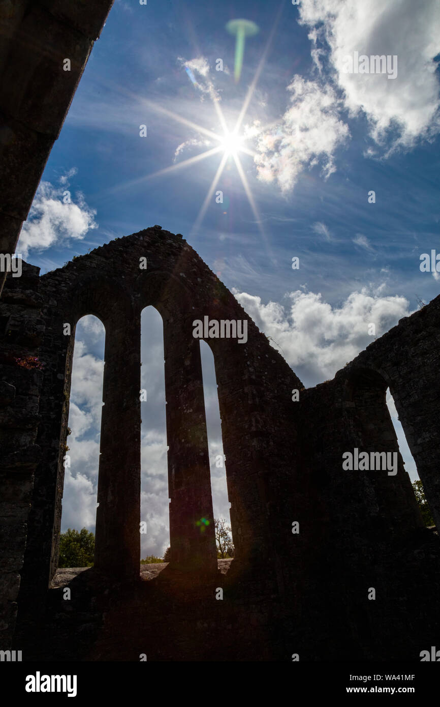 Ruins of the Cong Abbey also known as the Royal Abbey of Cong, in ...