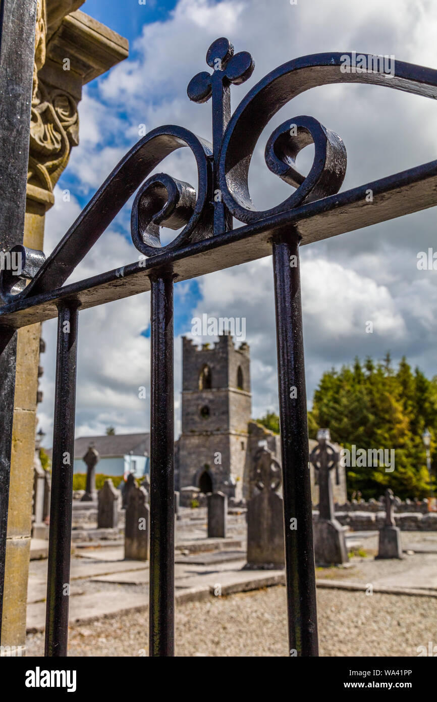 Ruins of the Cong Abbey also known as the Royal Abbey of Cong, in ...