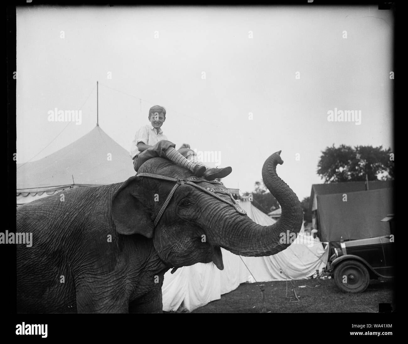 Boy with elephant Black and White Stock Photos & Images - Alamy