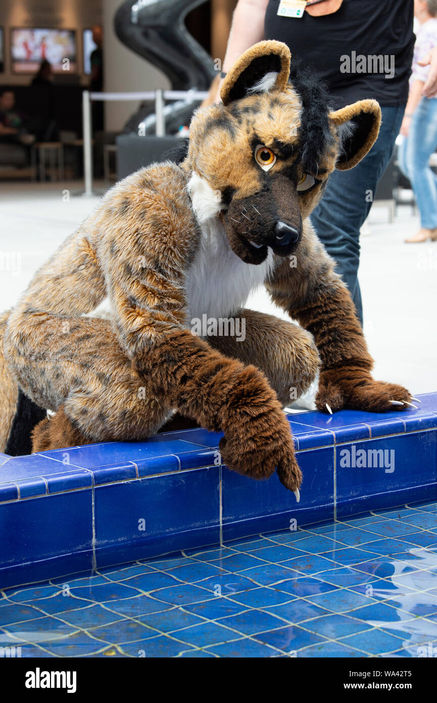 Eurofurence hi-res stock photography and images - Alamy