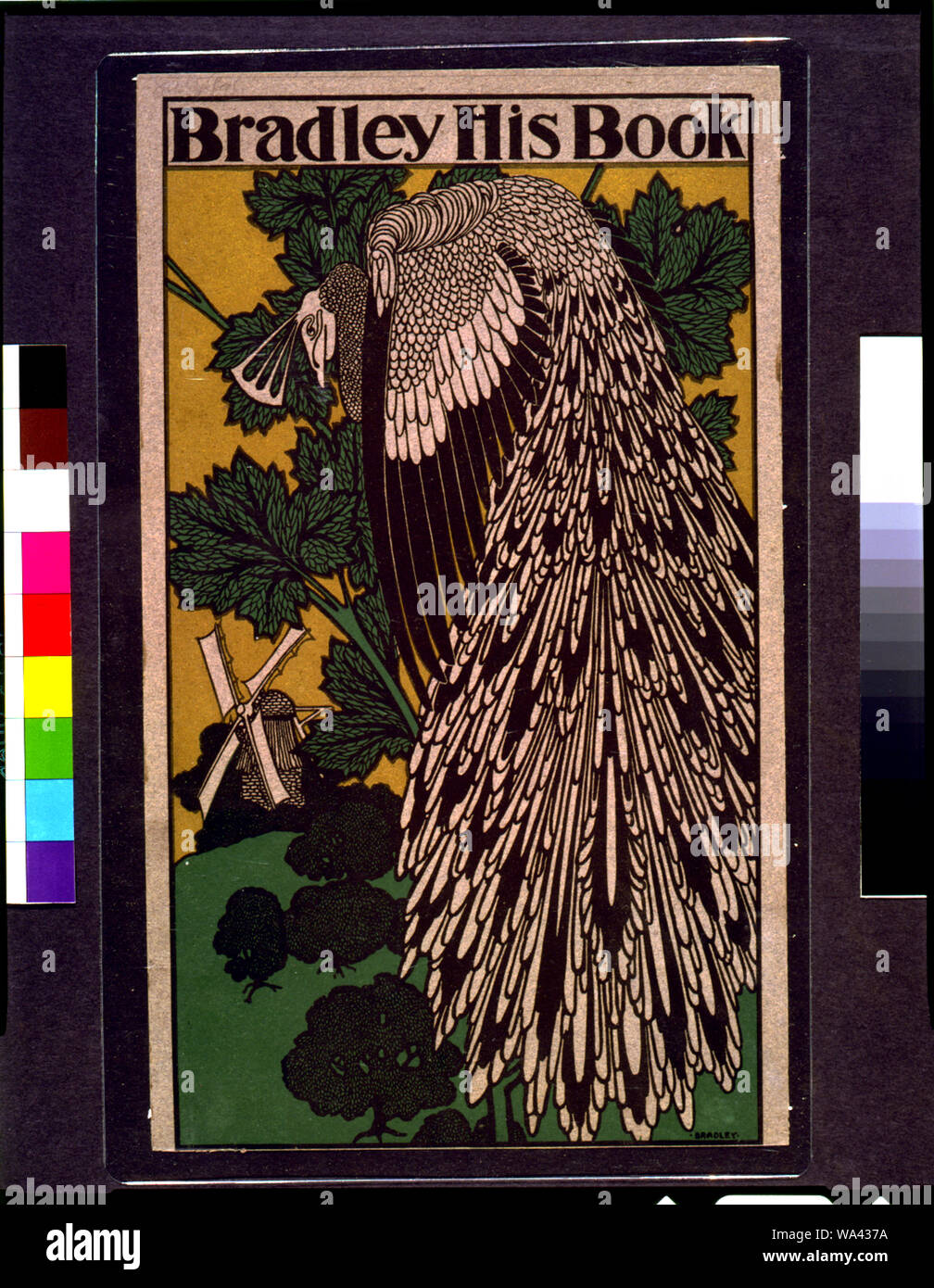 Bradley his book / Bradley Stock Photo - Alamy