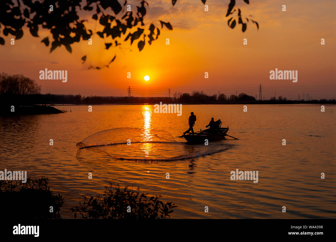 Yu sing later Stock Photo - Alamy