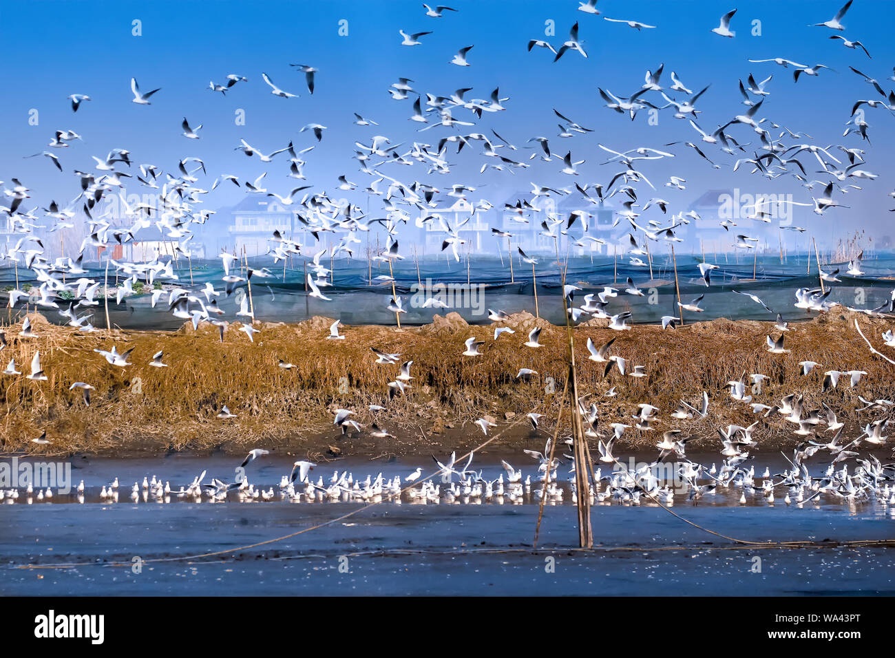 Jiangsu xinghua hi-res stock photography and images - Alamy