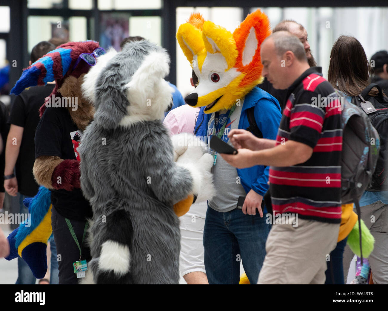 Eurofurence hi-res stock photography and images - Alamy