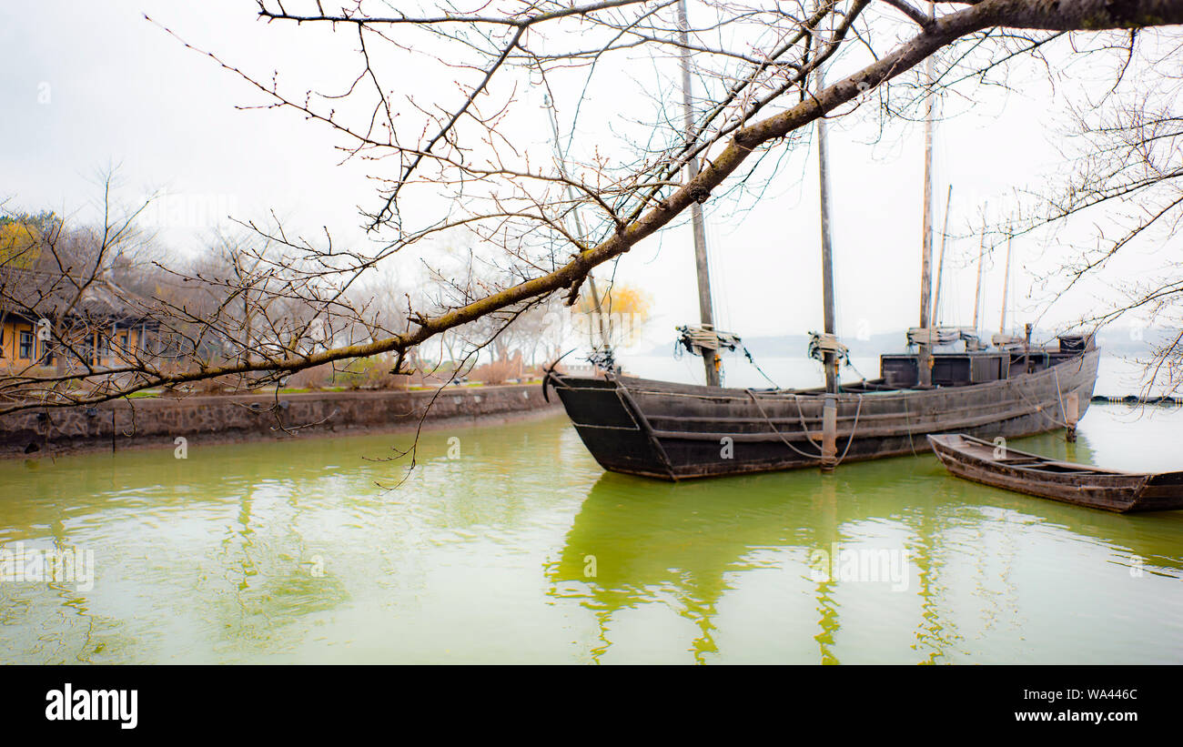 Turtle head isle hi-res stock photography and images - Alamy