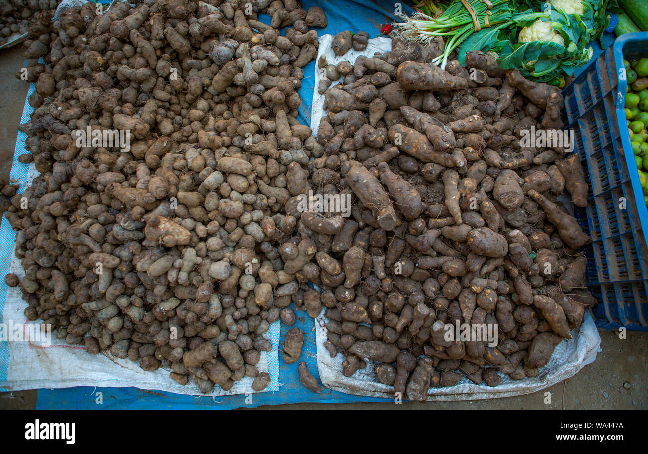 Roots in soil hi-res stock photography and images - Alamy