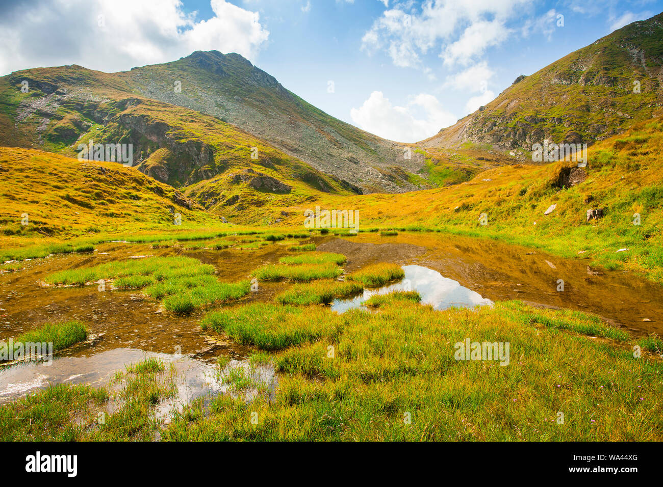 lake or swamp in the mountain Stock Photo - Alamy