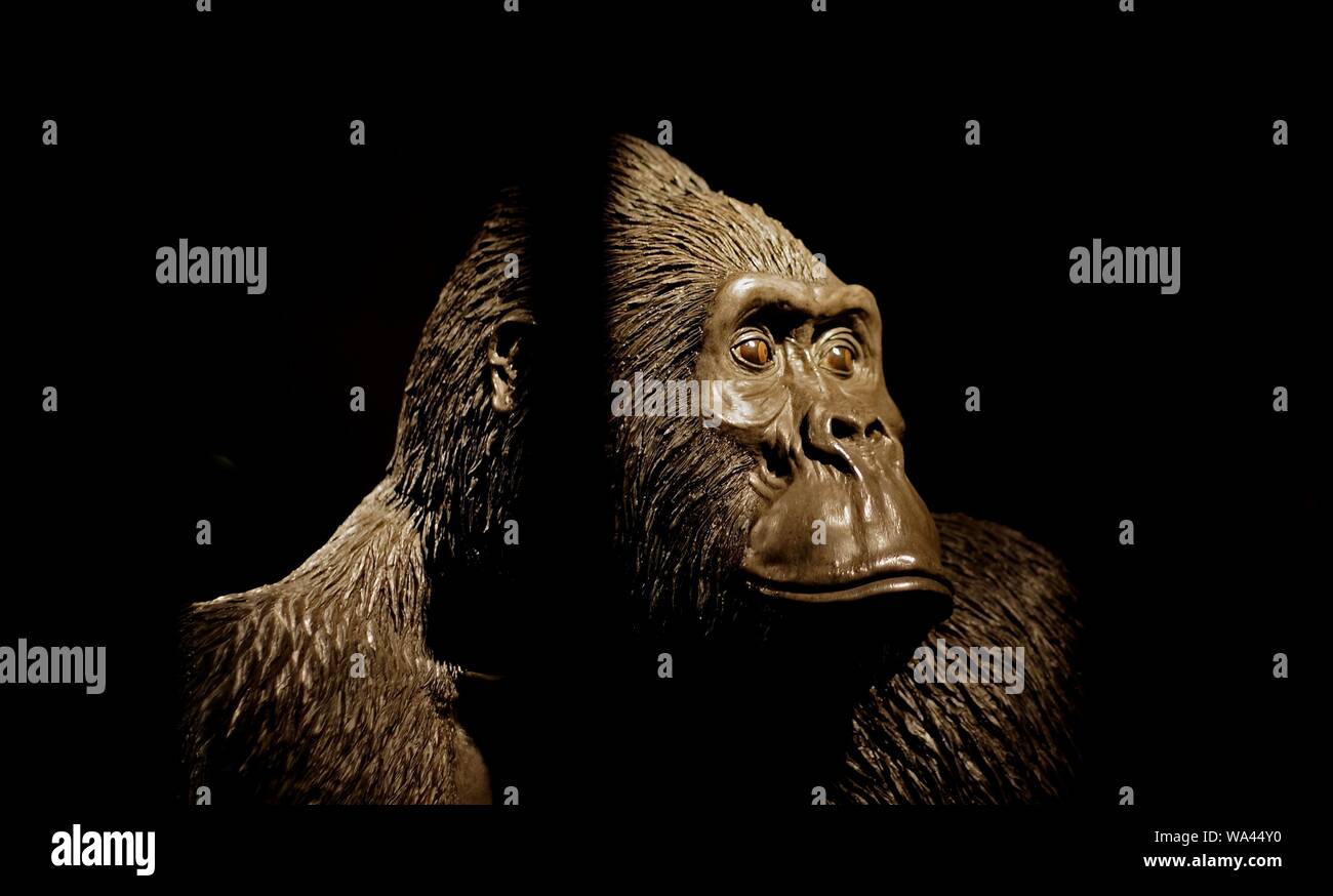 Monkey mannequin hi-res stock photography and images - Alamy