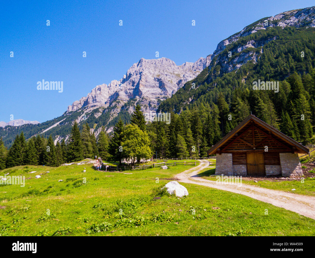 Malga Valagola forest path, Sant'Antonio di Mavignola, Dolomites, Italy ...