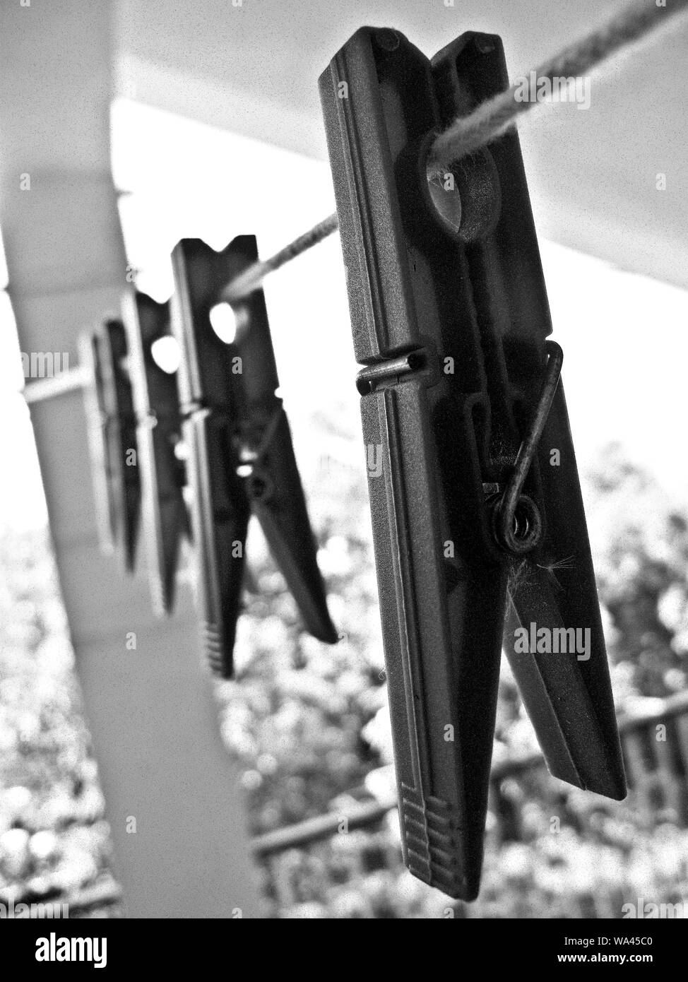 Picture memory card Black and White Stock Photos & Images - Alamy