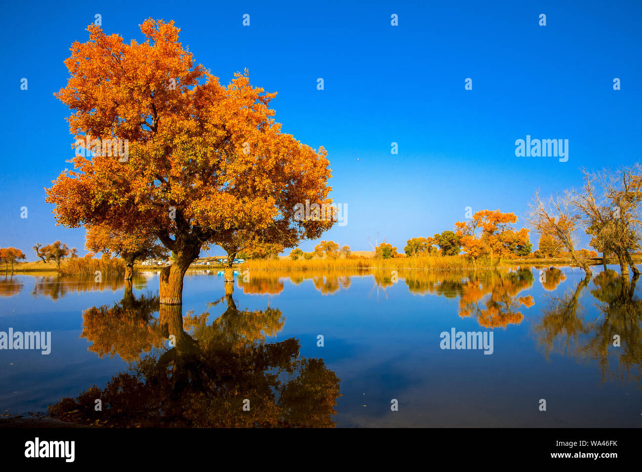 Yuli county in xinjiang hi-res stock photography and images - Alamy