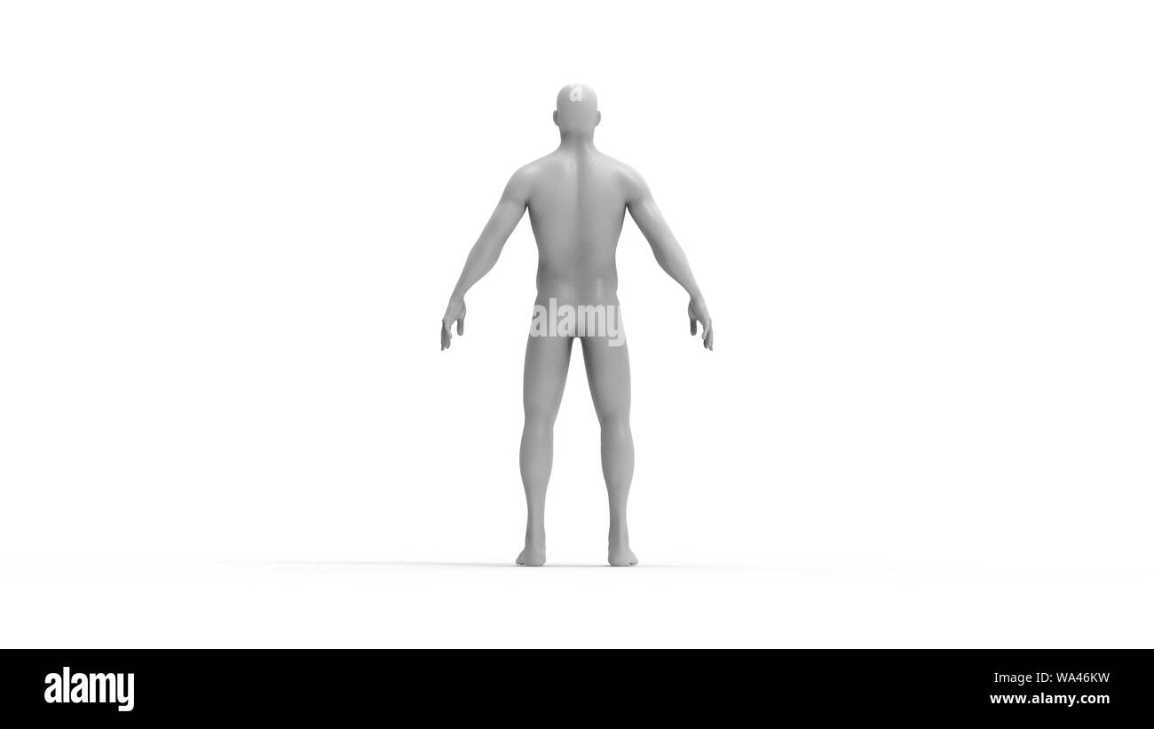 Human body 3d rendering of multiple views of a human body isolated in ...