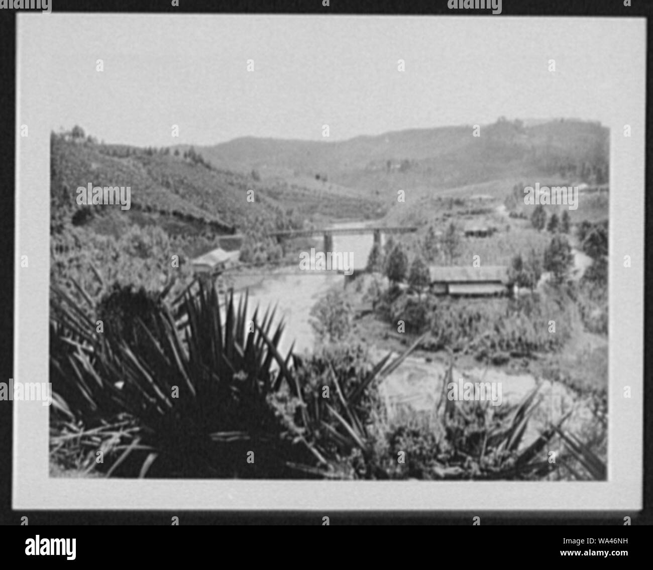 Bridges across Lindula River at Talawakele Stock Photo - Alamy