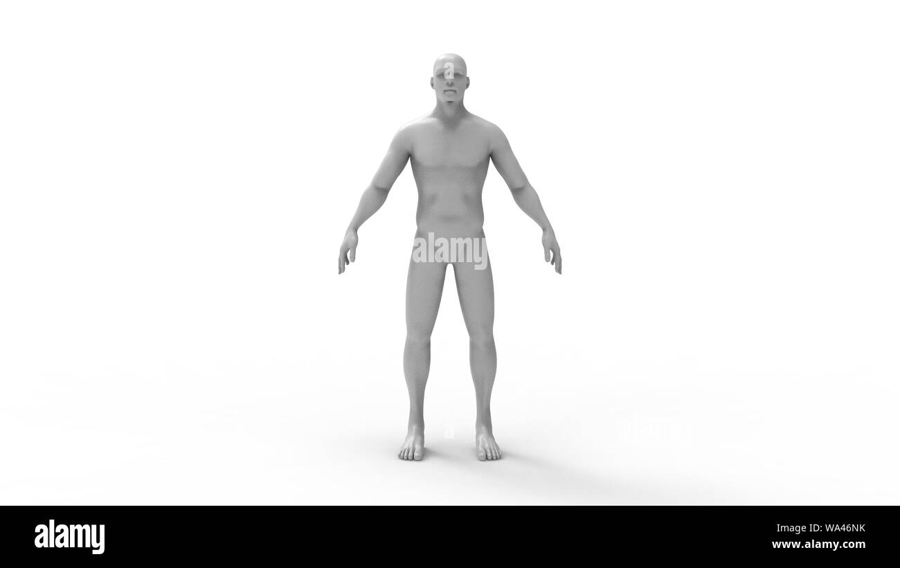 Human body 3d rendering of multiple views of a human body isolated in ...