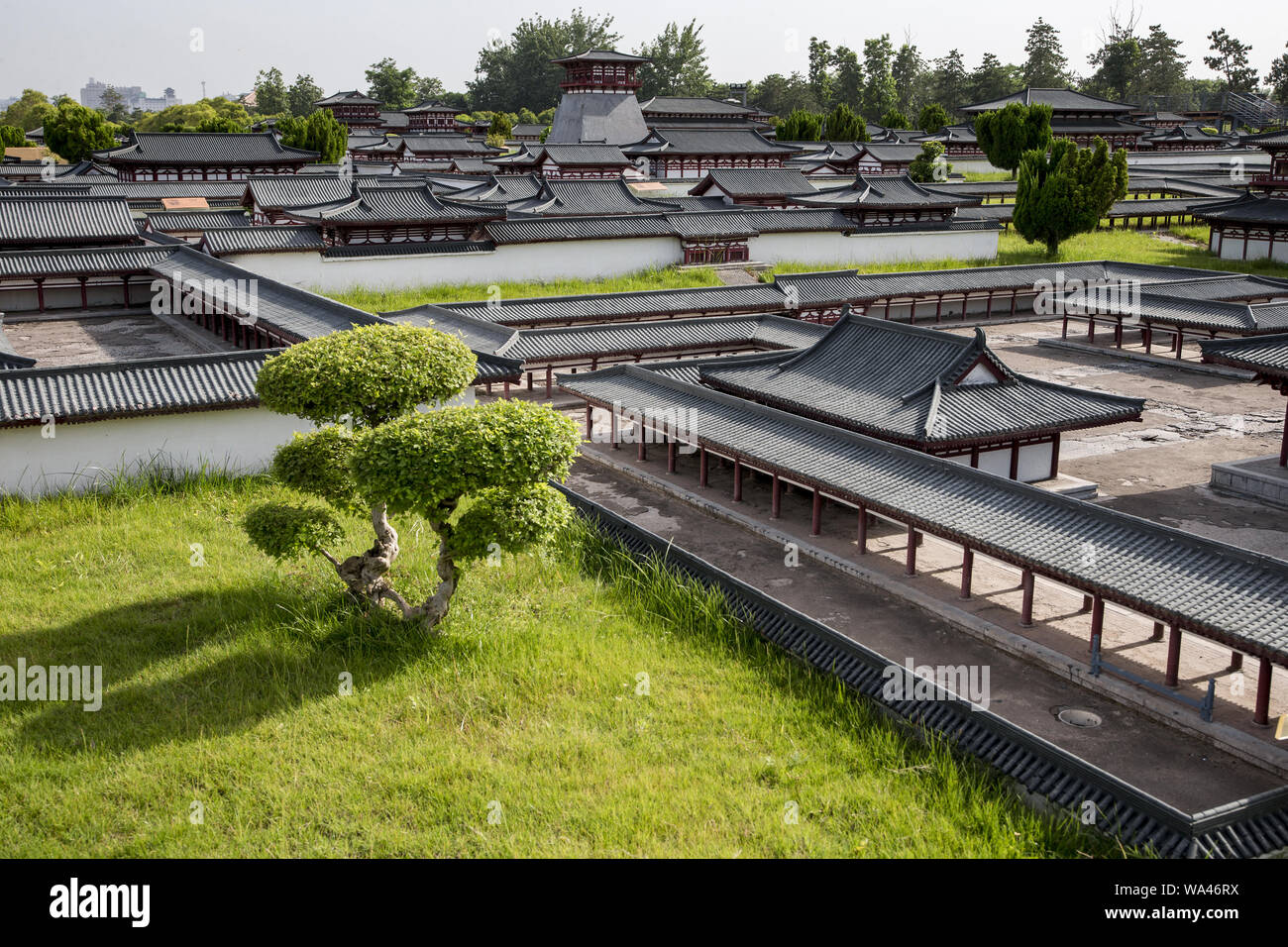 Tang Dynasty Buildings