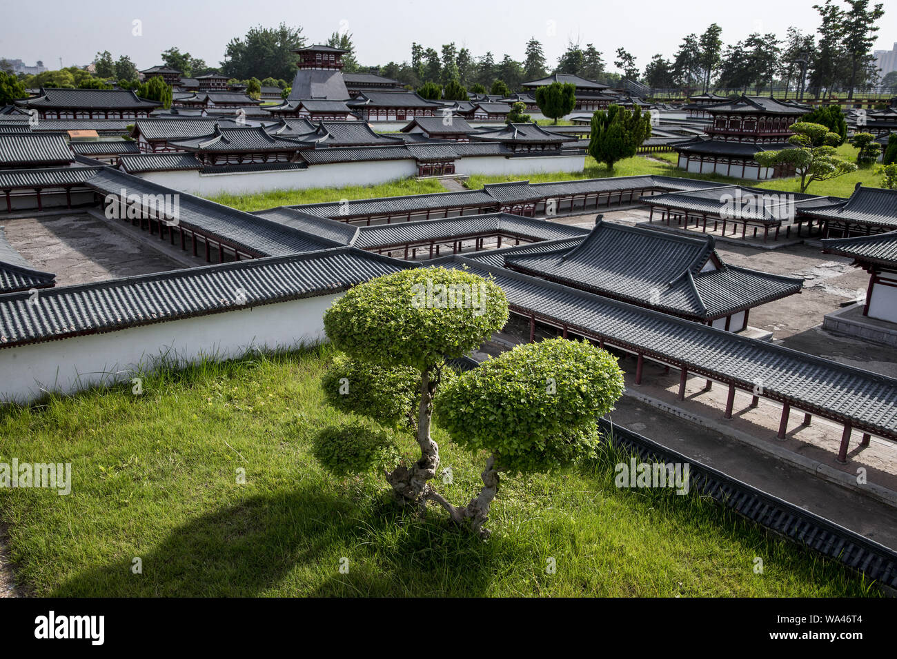 Tang palace hi-res stock photography and images - Alamy
