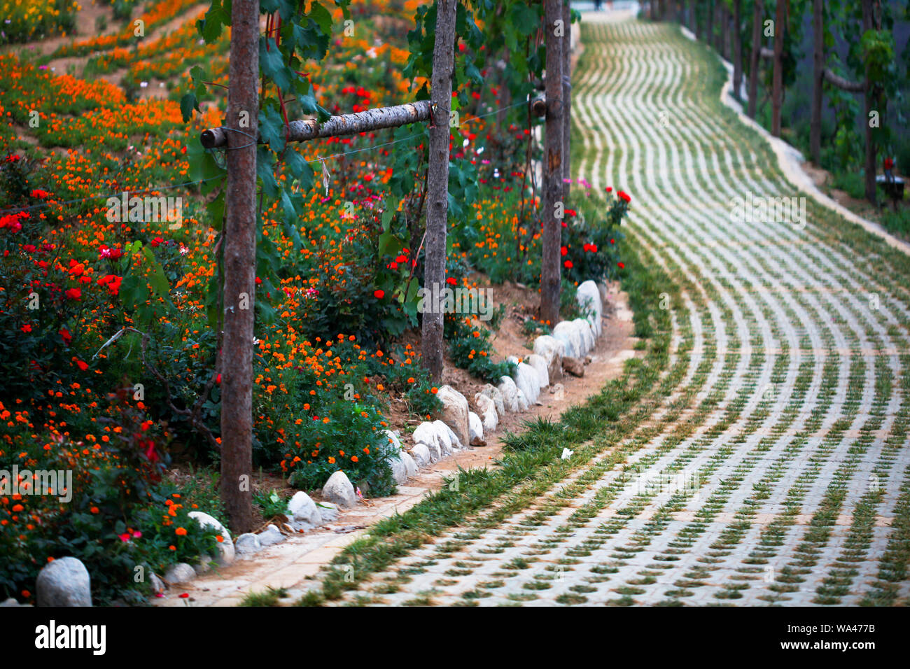 Pastoral scenery hi-res stock photography and images - Alamy