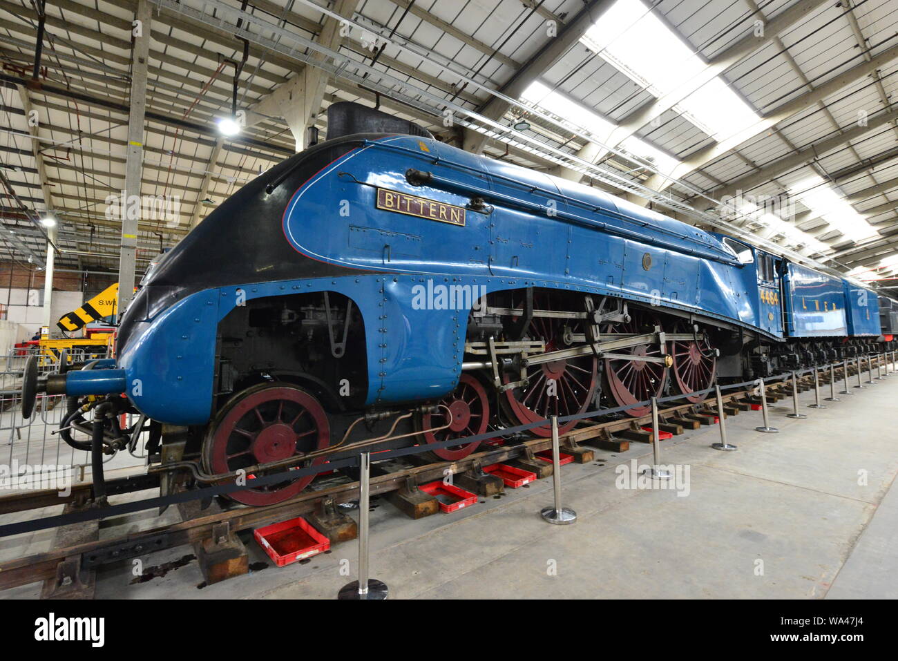 Bittern and A4 Pacific Locomotive Stock Photo - Alamy