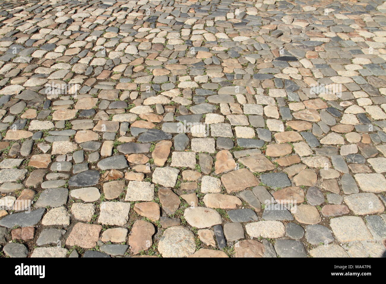 paving stones on the street Stock Photo - Alamy
