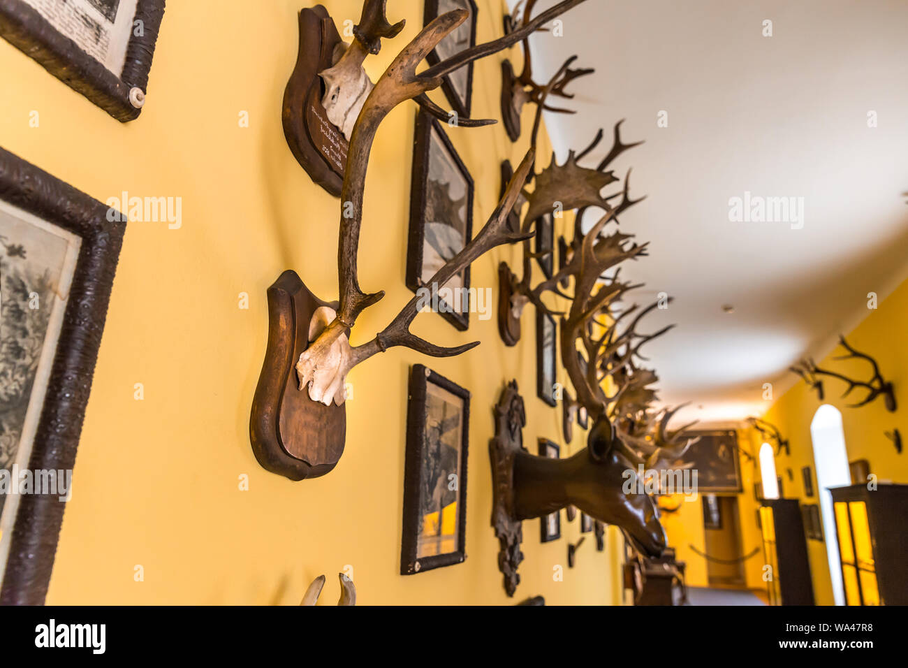 Trophy hall hi-res stock photography and images - Alamy