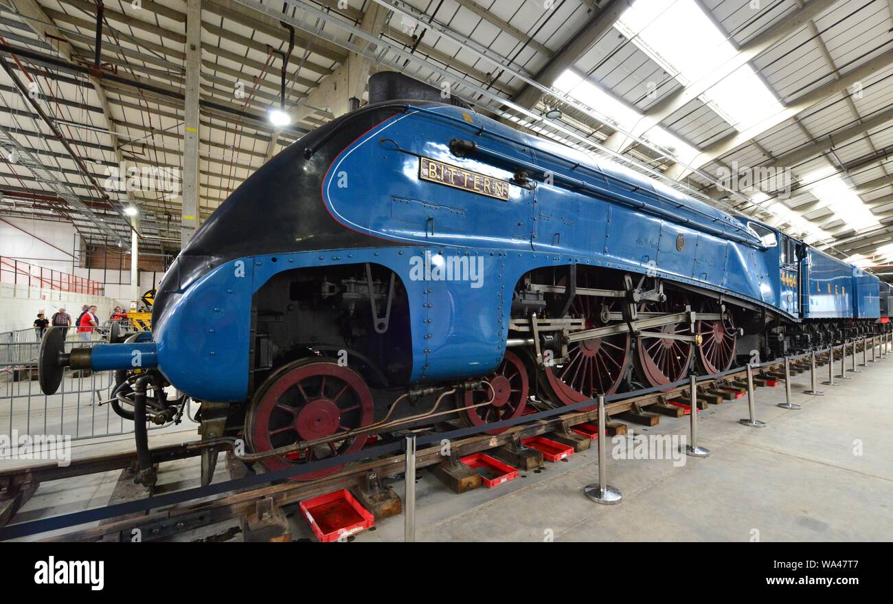 Bittern and A4 Pacific Locomotive Stock Photo - Alamy