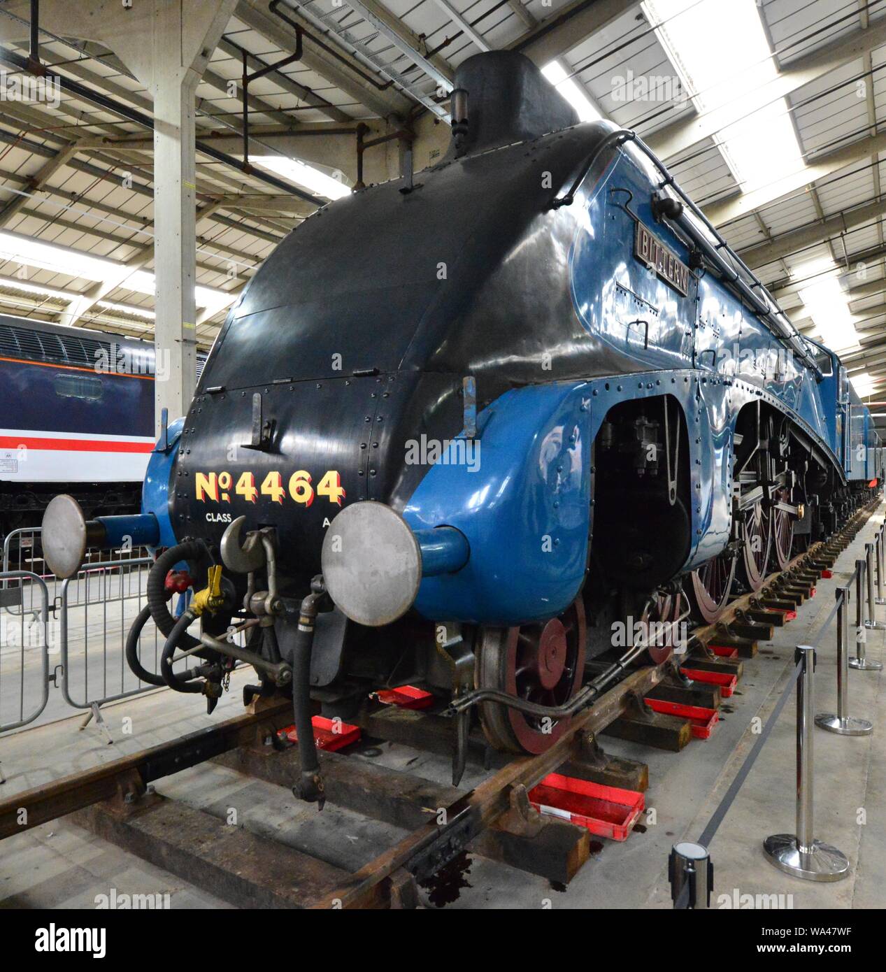 Bittern and A4 Pacific Locomotive Stock Photo - Alamy