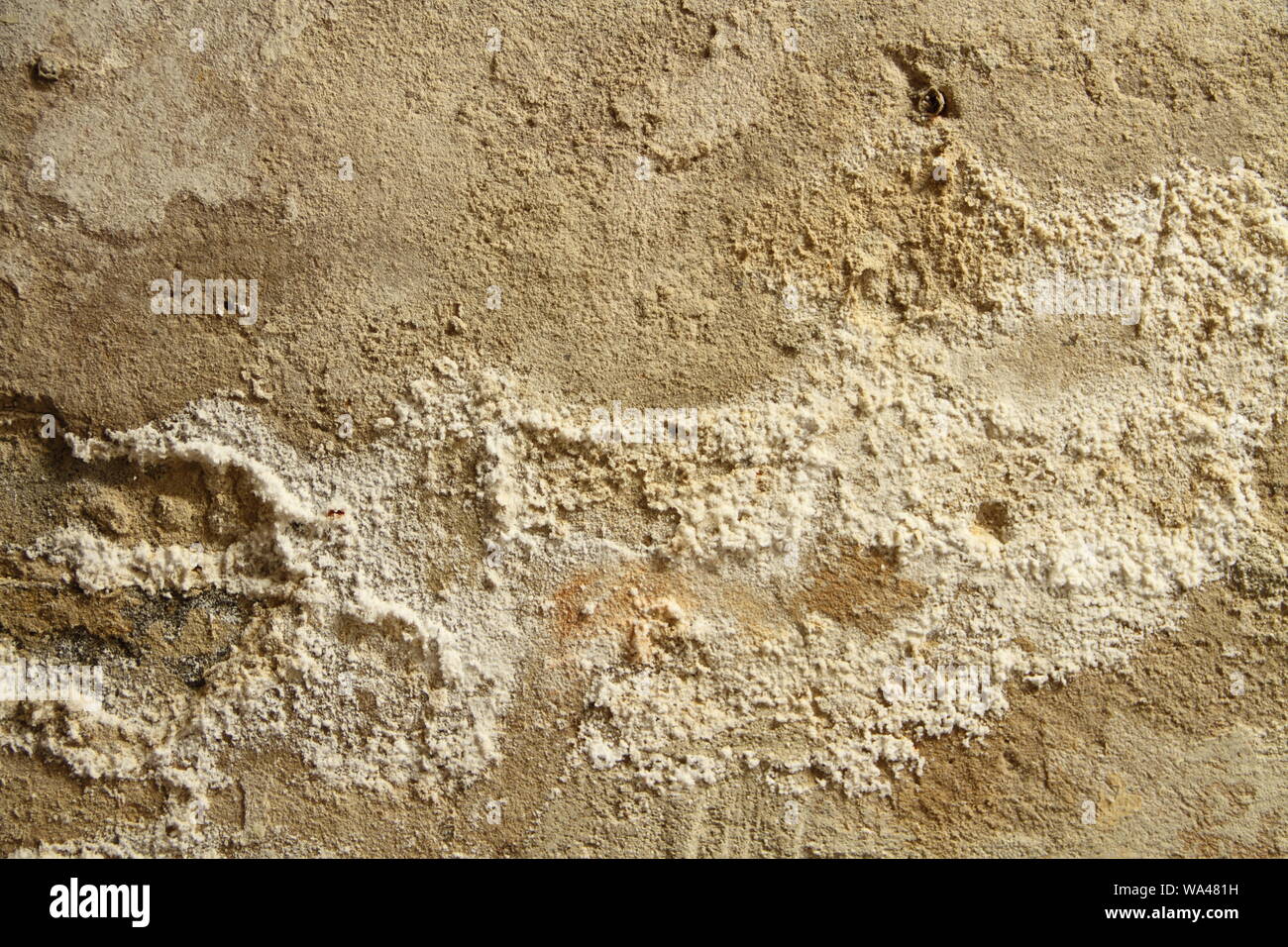 Cave walls wet hi-res stock photography and images - Alamy