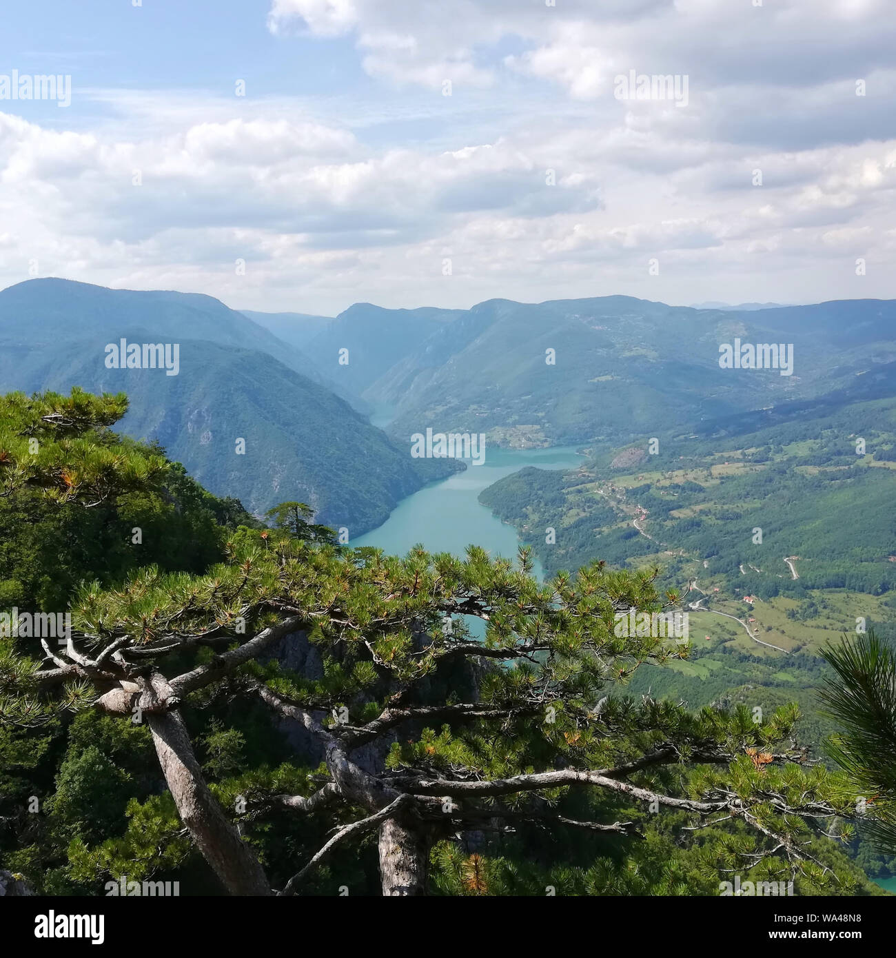 Viewpoint Banjska stena at Tara mountain - Serbia Stock Photo - Alamy