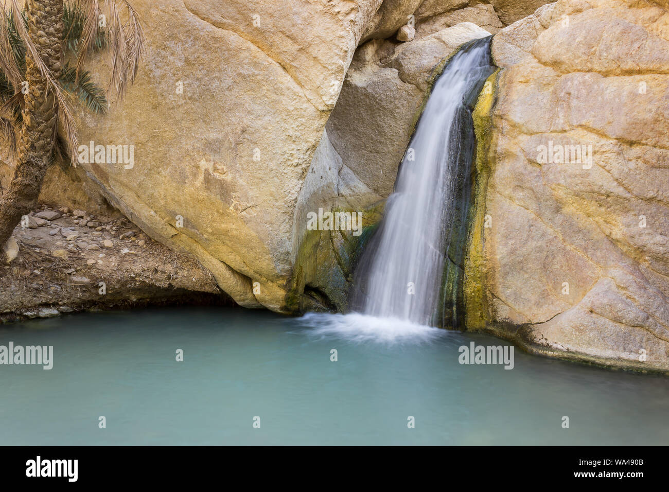 Beautiful, iconic, Sahara desert mountain oasis Chebika waterfall, palm ...