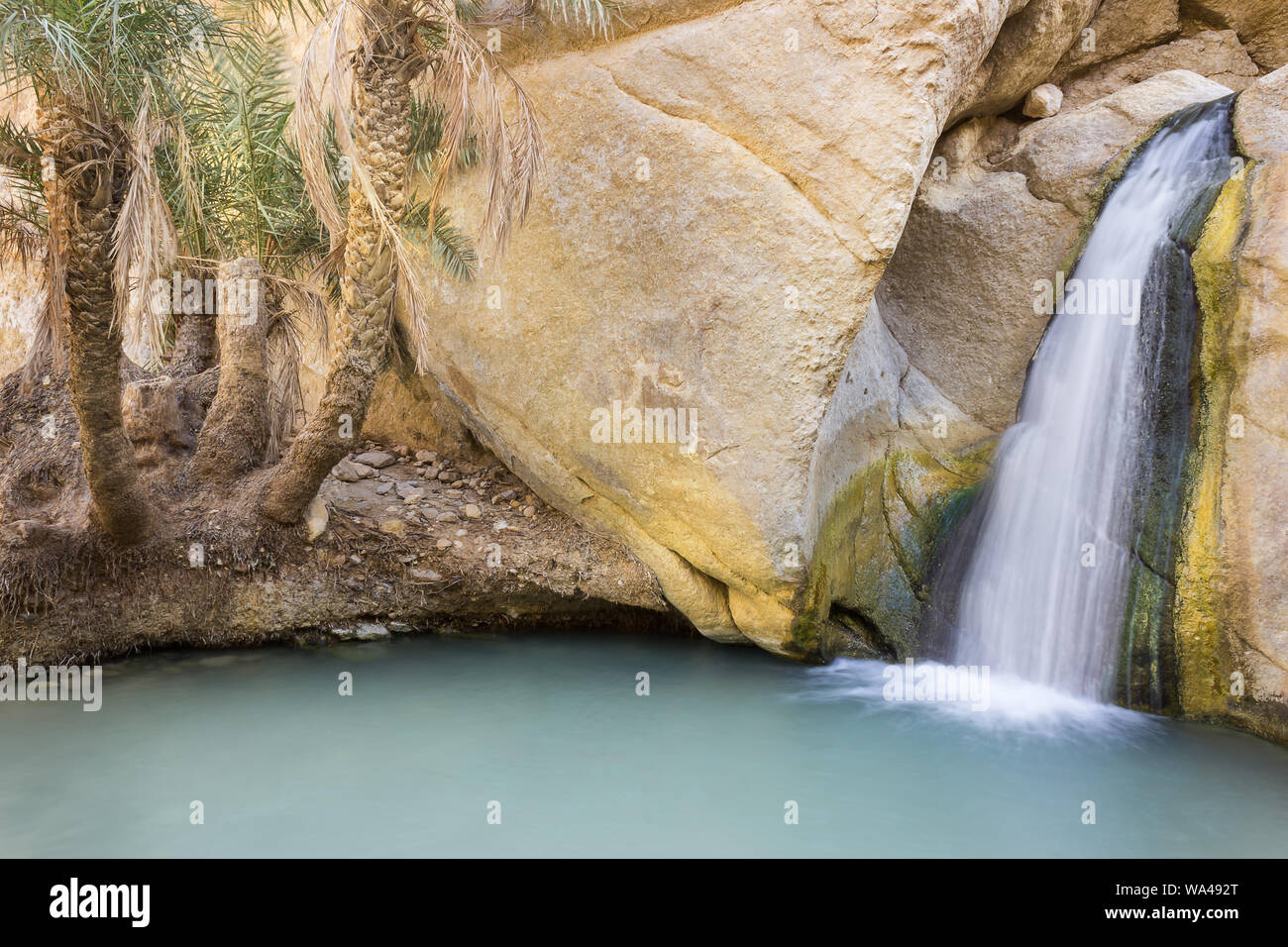 Beautiful, iconic, Sahara desert mountain oasis Chebika waterfall, palm ...