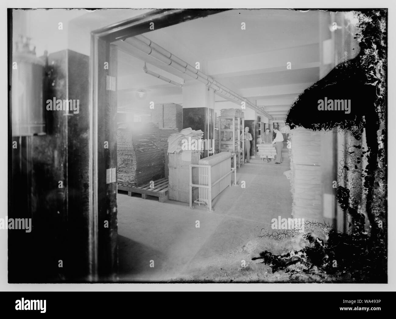 Communication plant Black and White Stock Photos & Images - Alamy