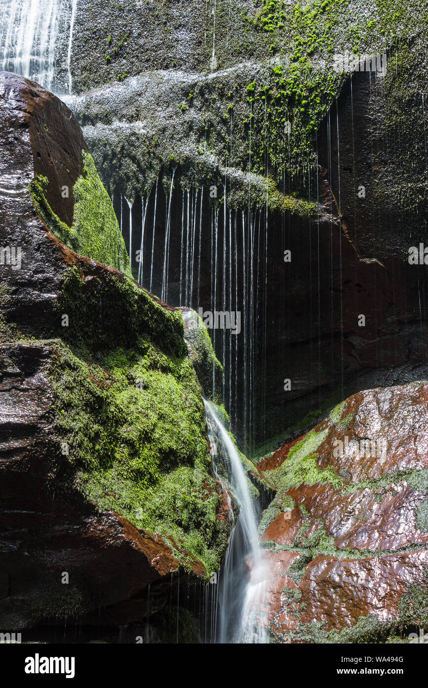 Close up details of almost dried up waterfall during summer with water ...