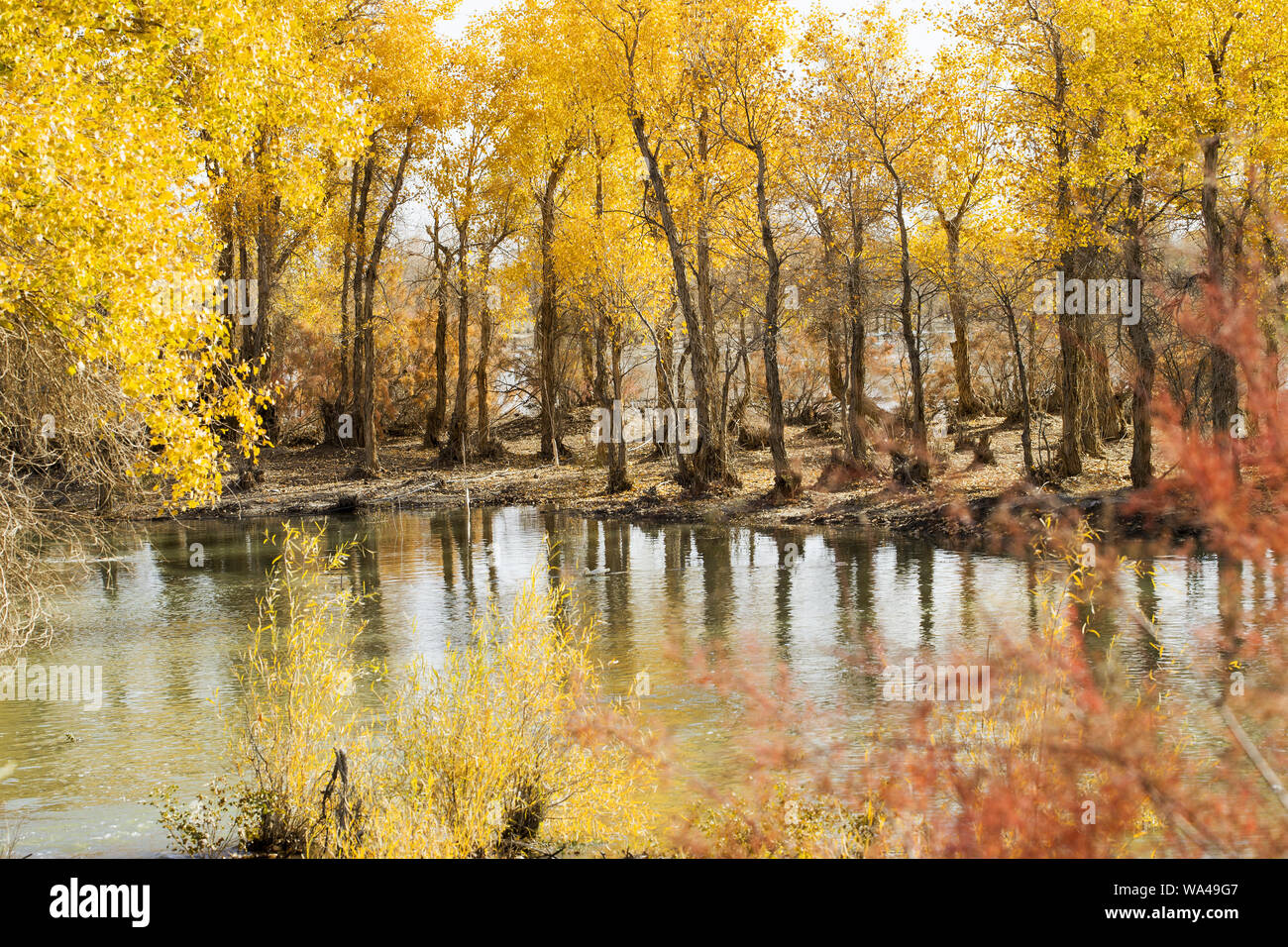 Yellow river china desert hi-res stock photography and images - Alamy