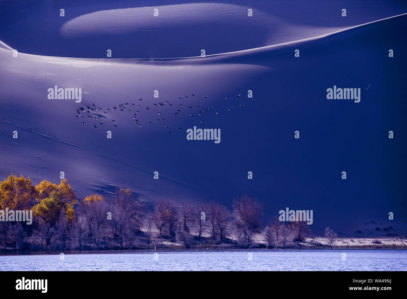 The taklamakan in iminqak Luo Bo lake in xinjiang Stock Photo - Alamy