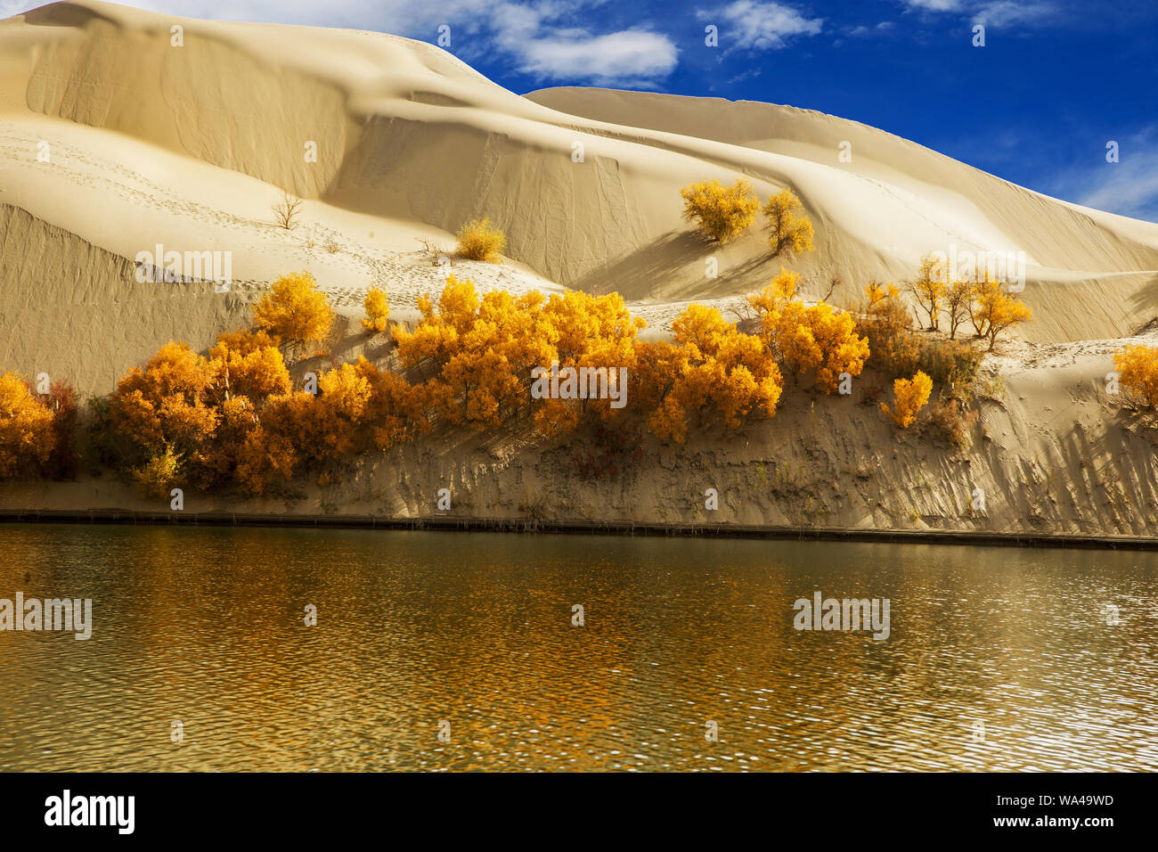 The taklamakan in iminqak Luo Bo lake in xinjiang Stock Photo - Alamy