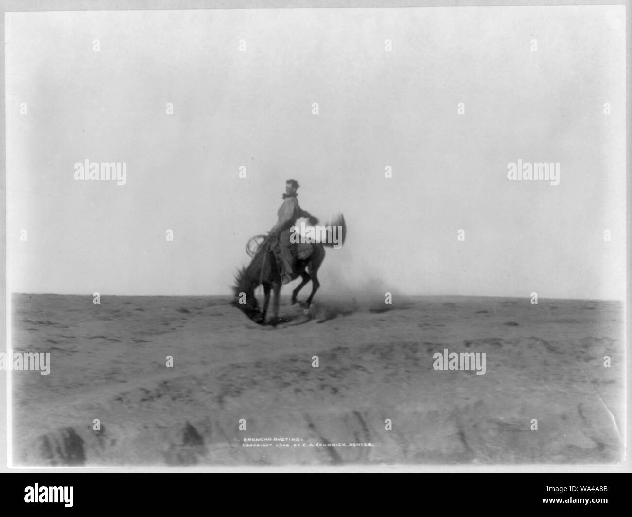 Broncho busting hi-res stock photography and images - Alamy