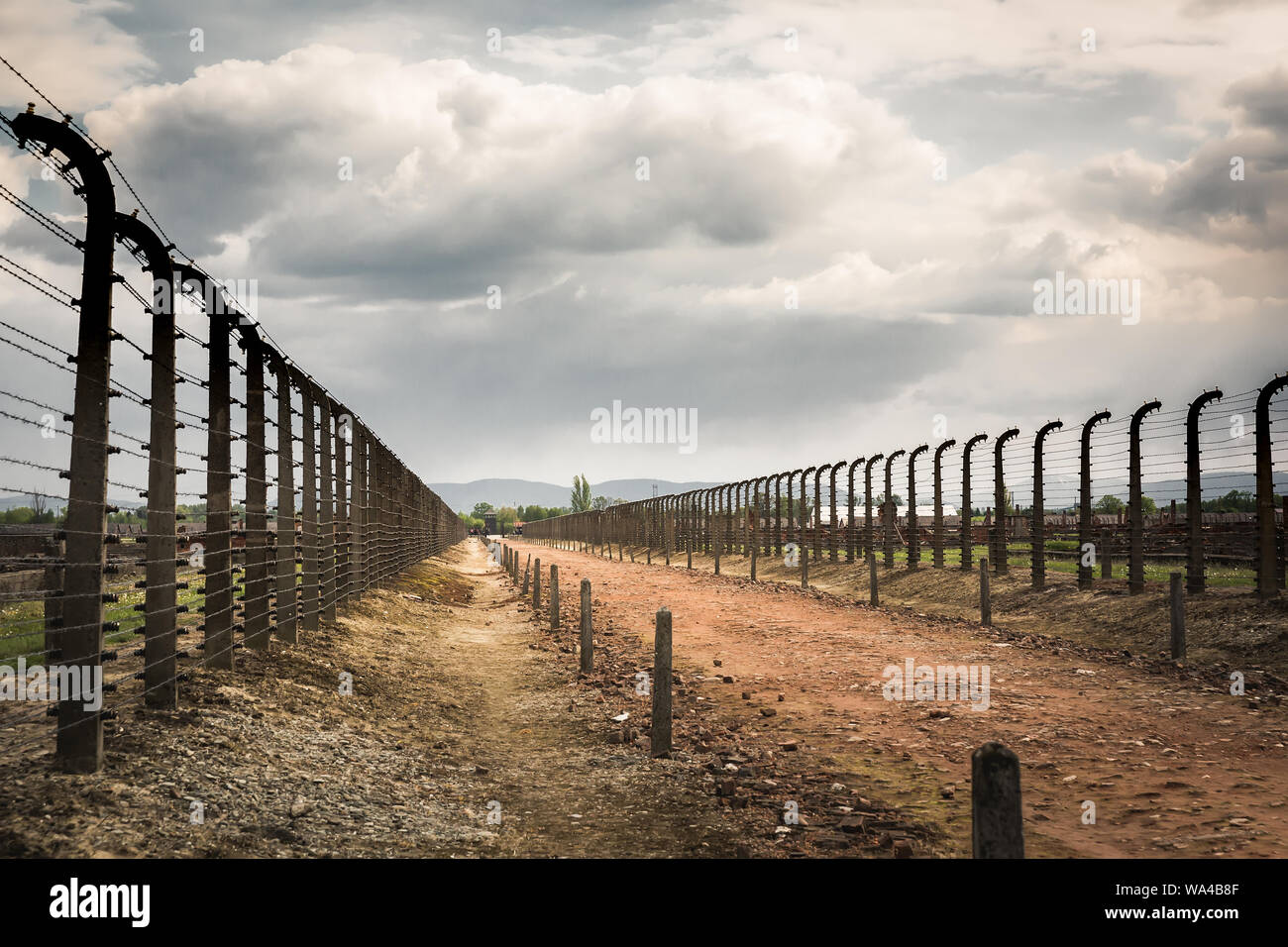 Barbed wire fence in two rows, Auschwitz II Stock Photo - Alamy