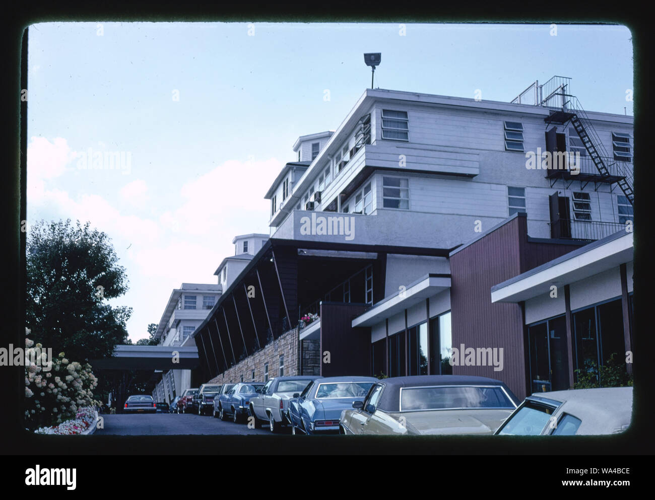 Loch sheldrake hi-res stock photography and images - Alamy