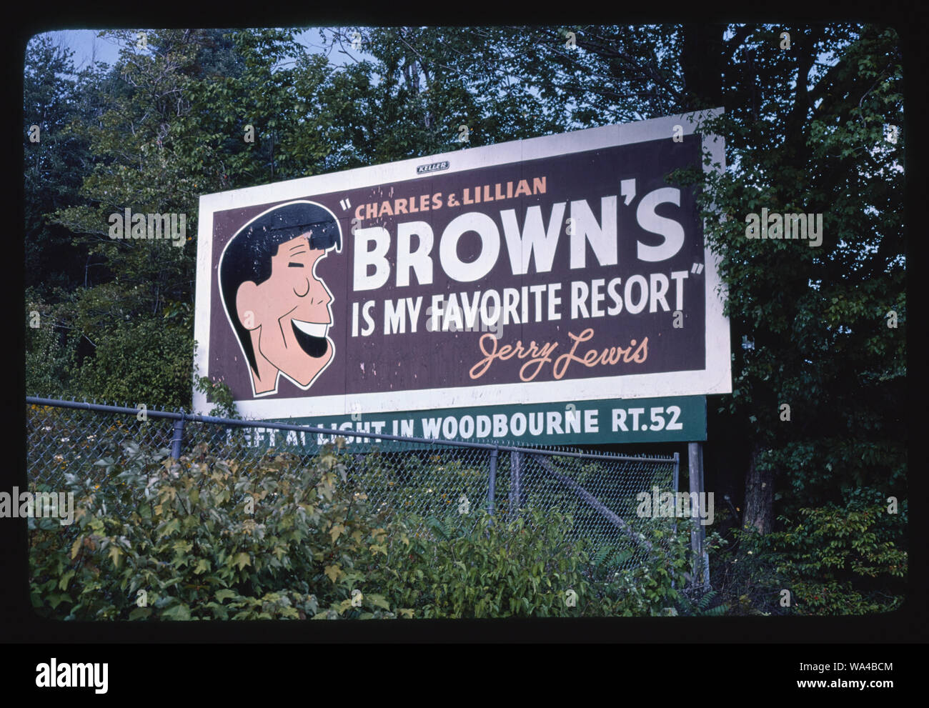 Sheldrake new york hi-res stock photography and images - Alamy