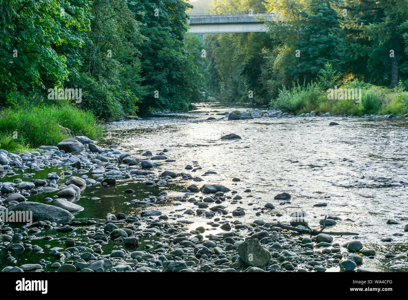 The Cedar River flows undea a highway in Maple Valley, Washington Stock ...