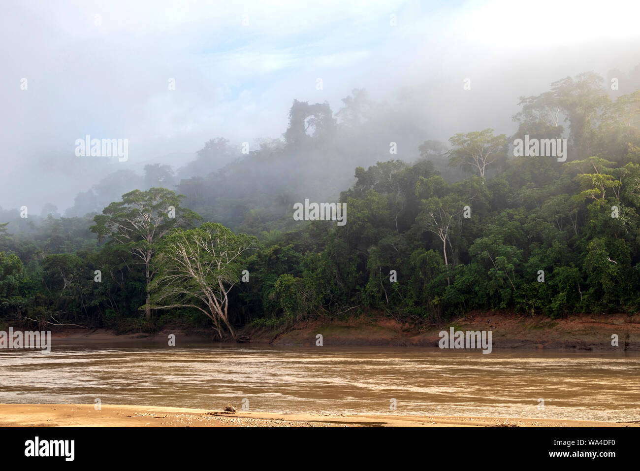 Green rainforest mountains in clouds, Amazon river basin at magical ...