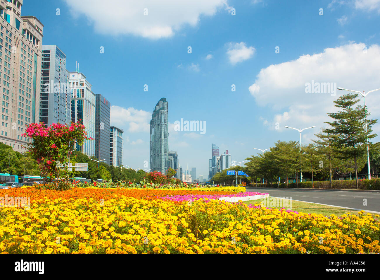 Shenzhen shennan avenue hi-res stock photography and images - Alamy