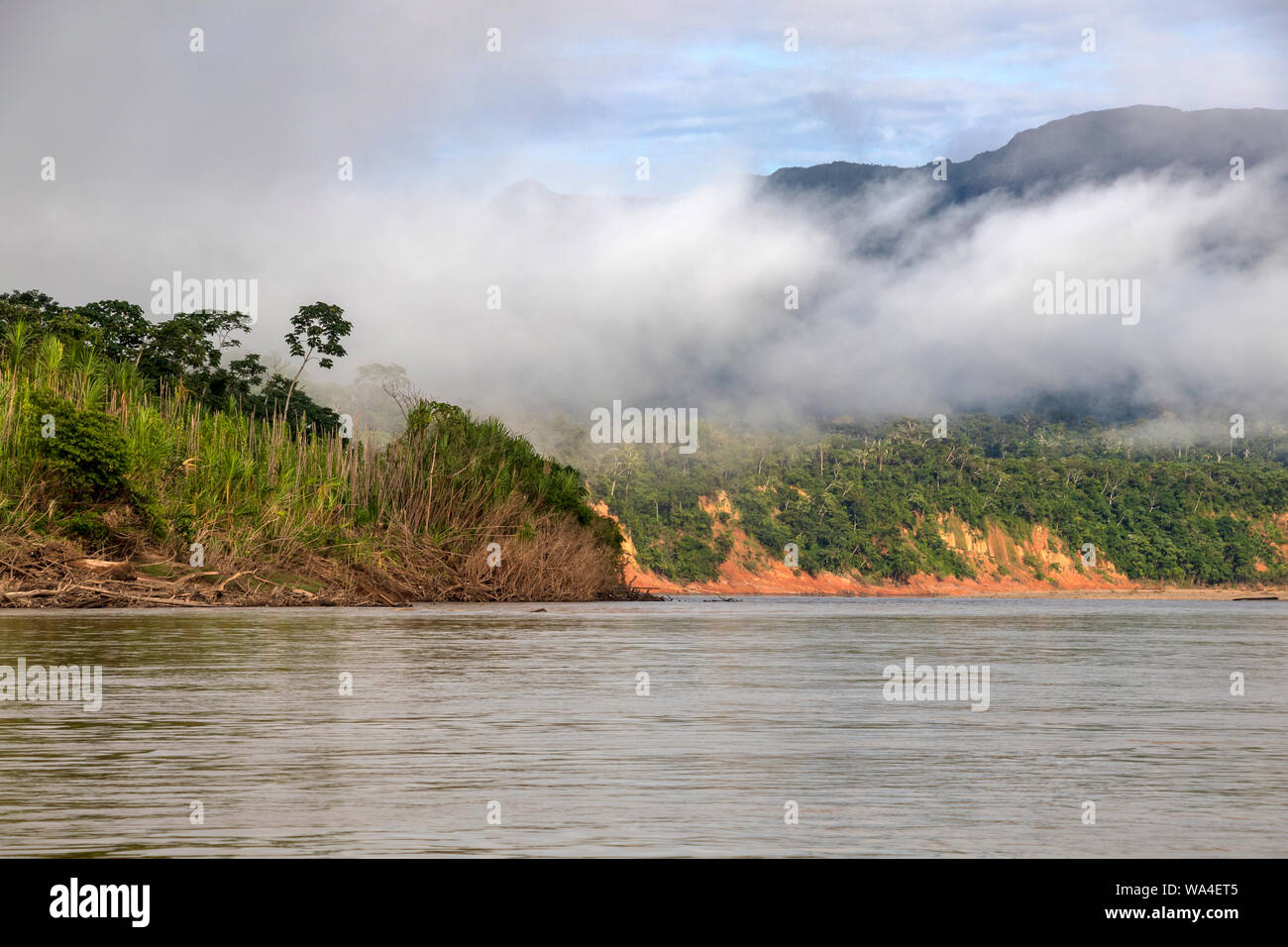 Green rainforest mountains in clouds, Amazon river basin at magical ...
