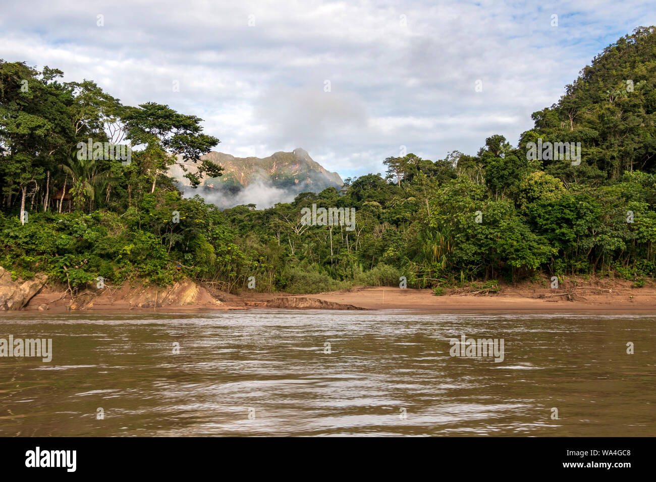 Jungle sky fog amazonas hi-res stock photography and images - Alamy