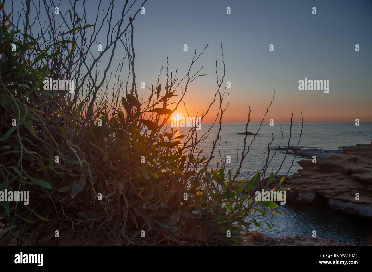 The sunset under the beautiful blue sky on beach Stock Photo - Alamy