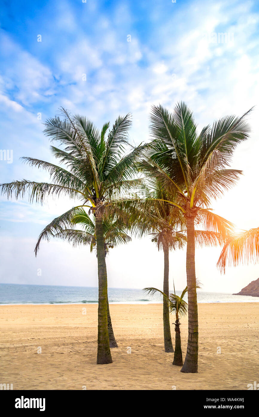 Guangdong province 'island beach coconut trees Stock Photo - Alamy