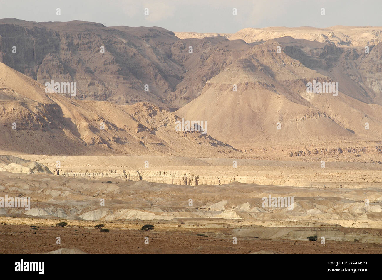 relief of Judean Desert at the Dead Sea area, Israel Stock Photo - Alamy