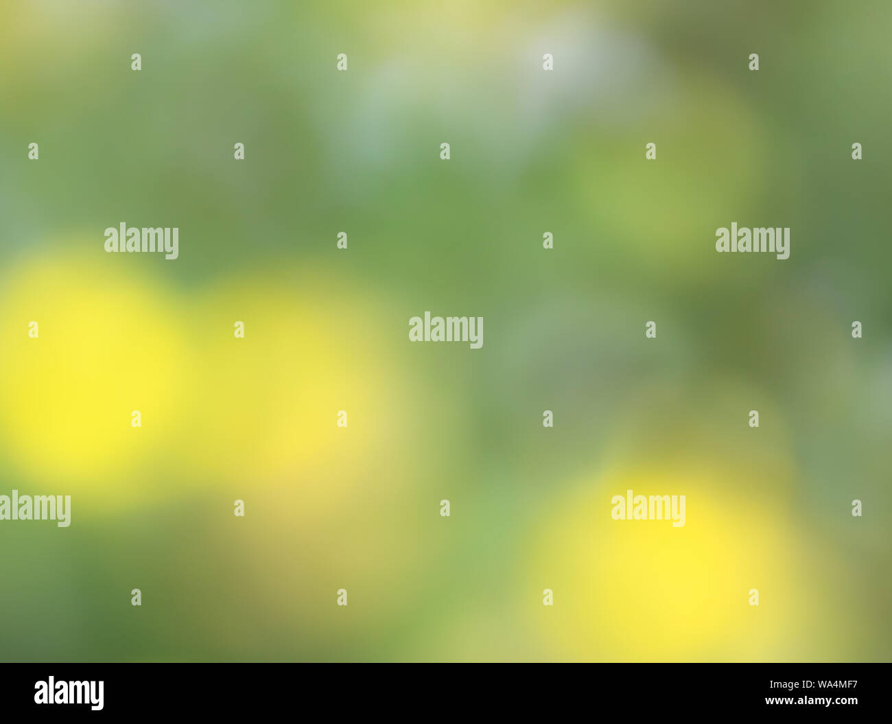 Brokeh background hi-res stock photography and images - Alamy